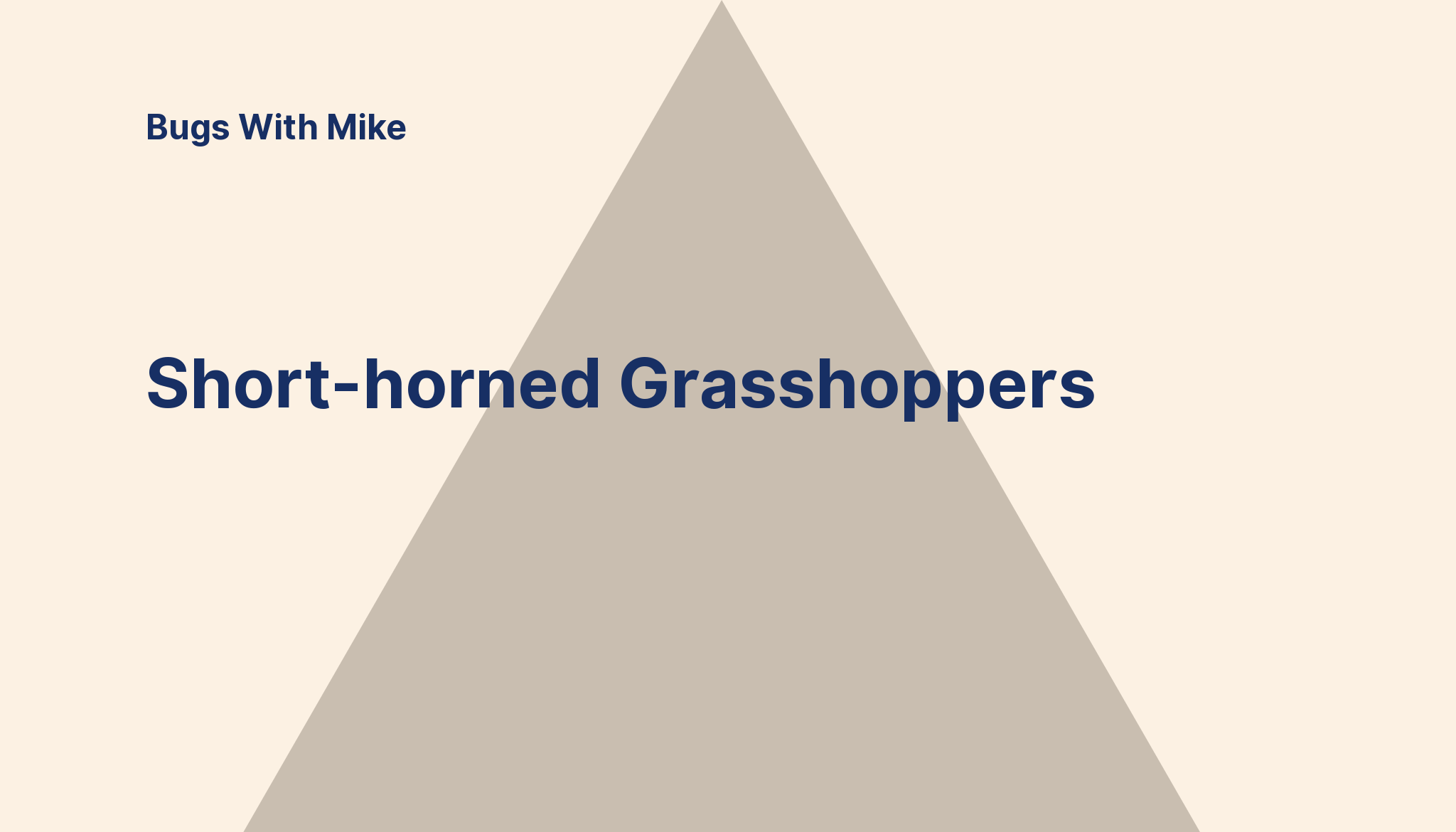 Short-horned Grasshoppers